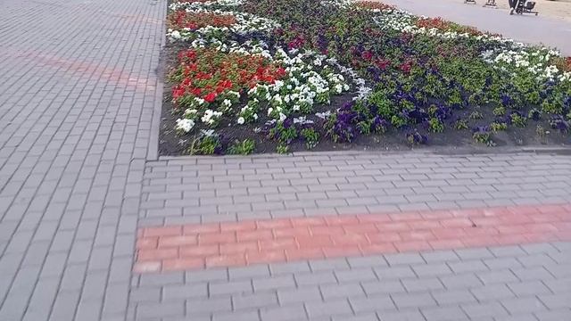 Парк, цветочки 27-06-2025