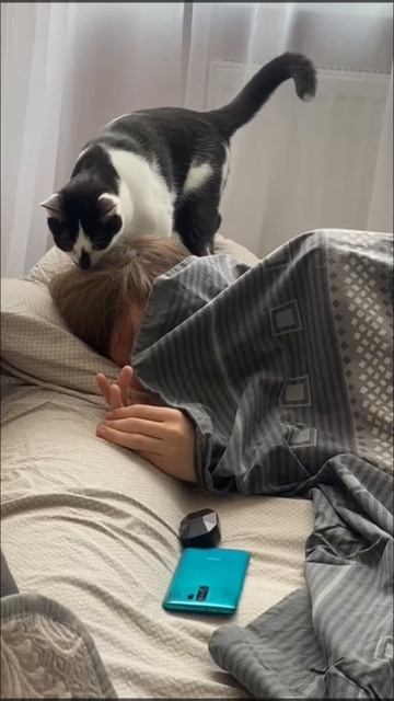 В гостях у кошки 🙂