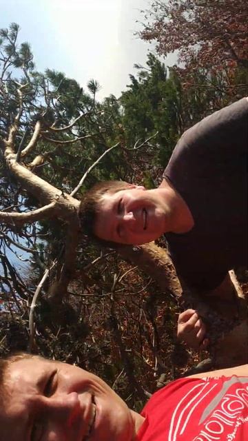 Долина приведений, Крым. на сосне #крым #горы #активныйотдых #природа #красота #долинаприведений