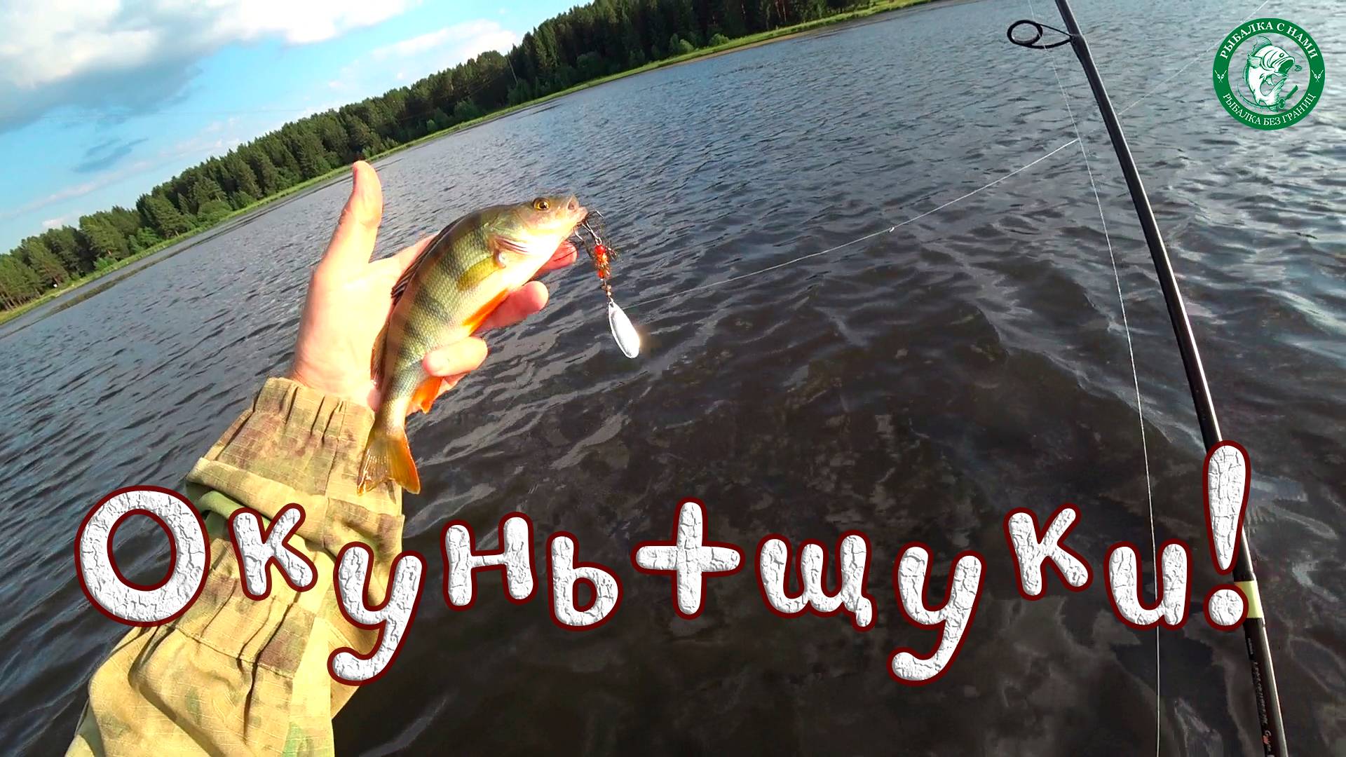 ОКУНЬ, ЩУКА НА СПИННИНГ В ИЮНЕ! РЫБАЛКА В БРОДНЯХ НА ВЕЧЕРКЕ У ДОМА НА КЛЁВОМ ПРУДУ, ЛОВИМ НА УРАЛЕ!