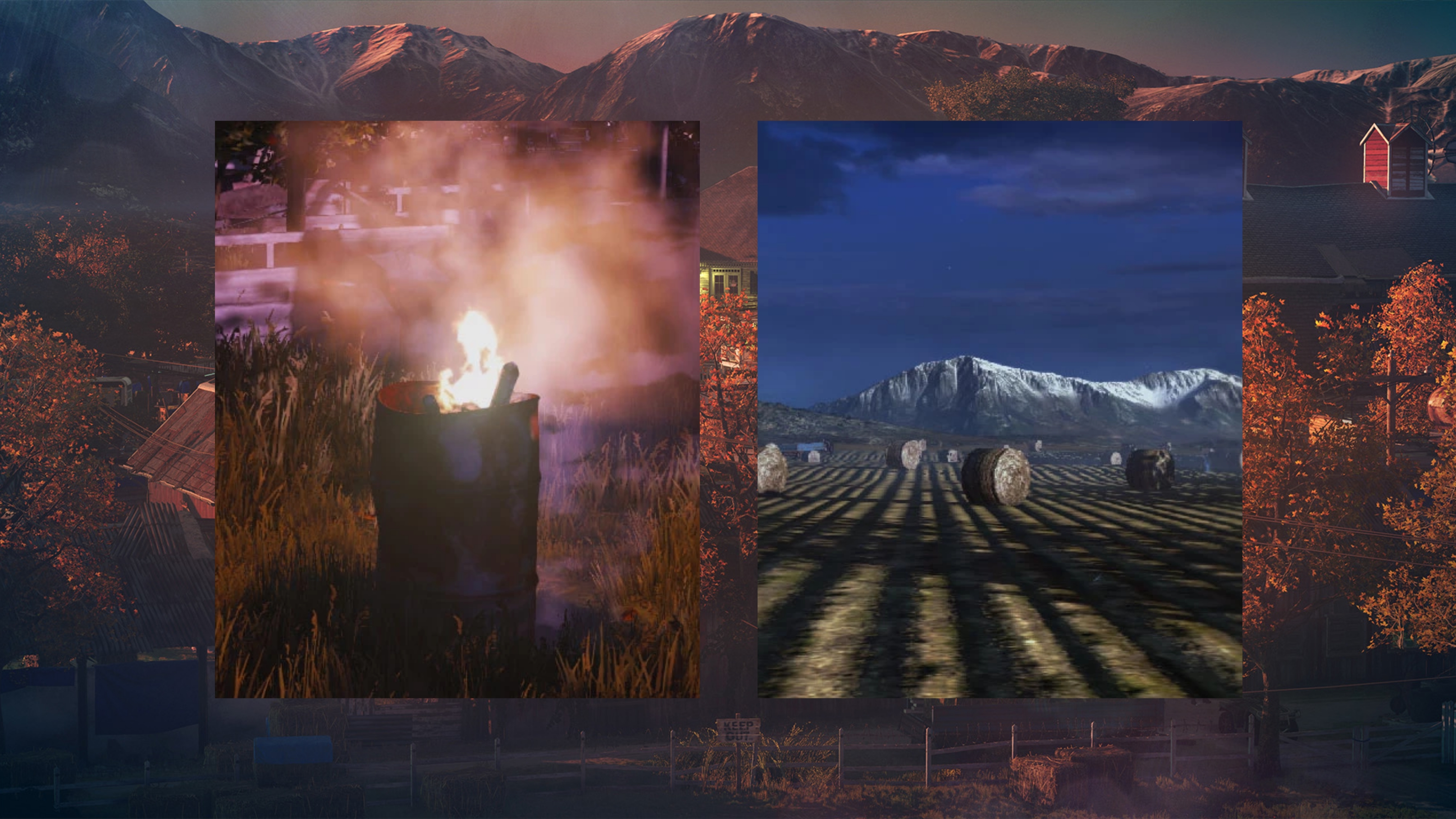 HITMAN: "Плетеный человек", "Птицы не пройдут".