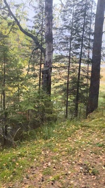 #река Чауж #водохранилище #природа #отдых #красота #горы #тагил #урал #путешествия #рыбалка