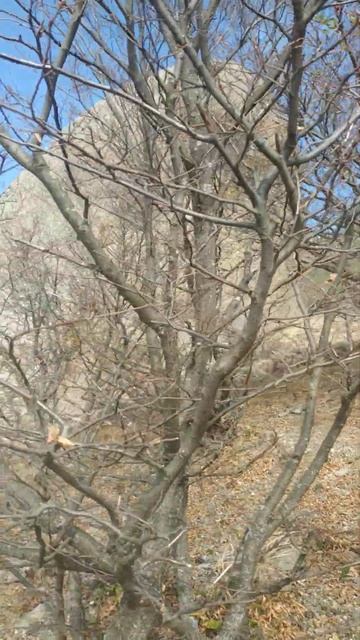 Долина приведений, Крым. ещё немного #крым #горы #активныйотдых #природа #красота #долинаприведений