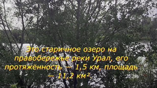 Прогулка к озеру Коровье Стойло Посёлок им. Куйбышева   Видео Виктор Поживин 27.06.25.