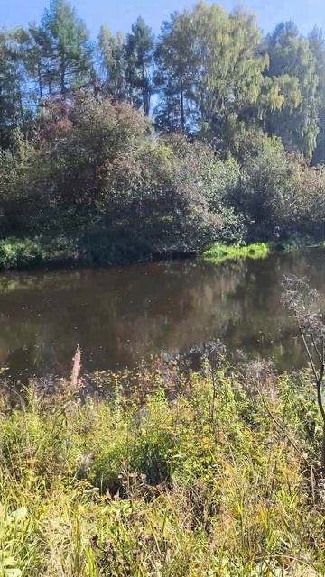 поход на гору Медведь-камень, Нижний Тагил, река Тагил #гора #медведькамень #тагил #природа #travel