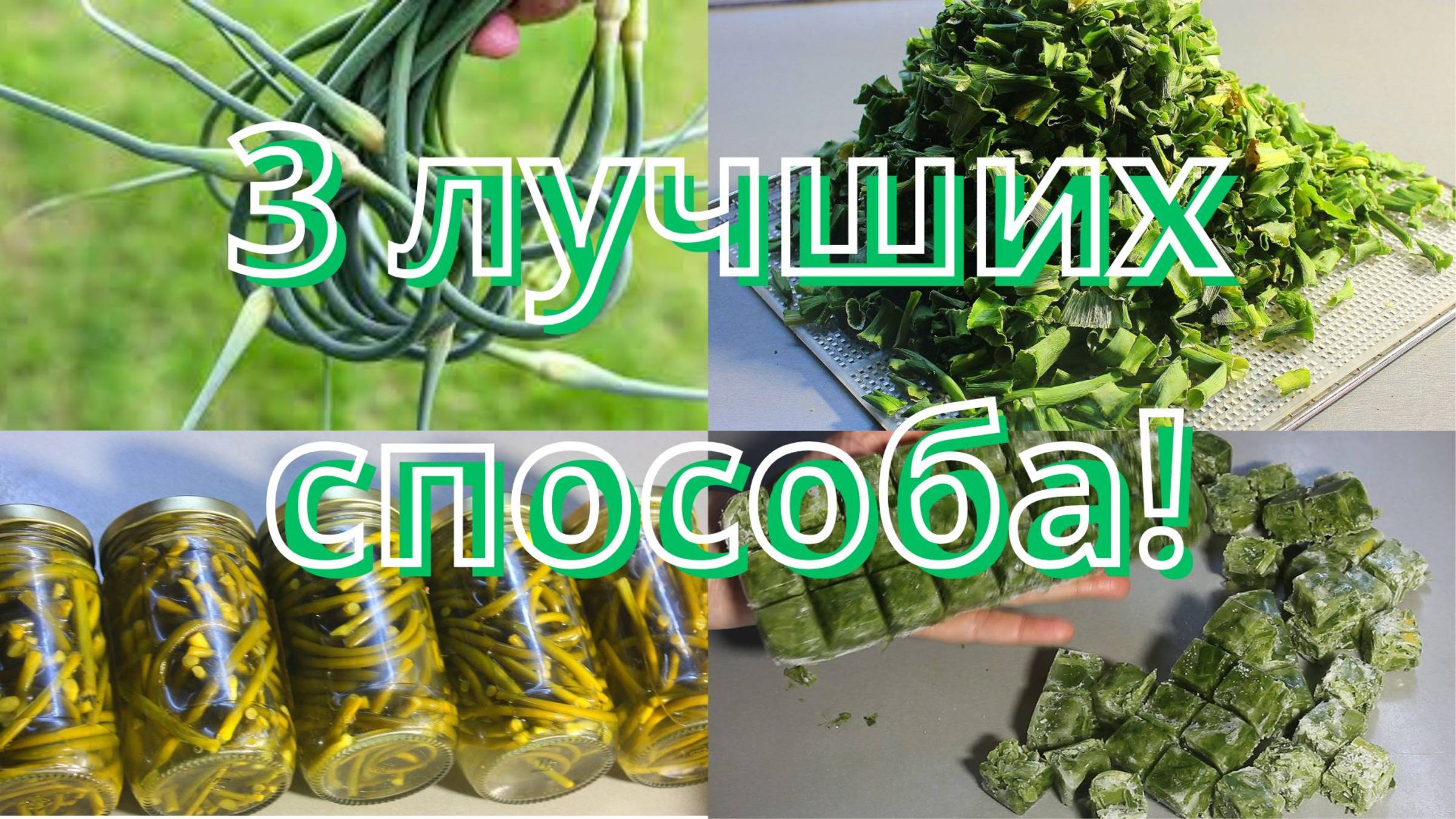 🌿 «Законсервированное лето: заготавливаем чесночные и луковые стрелки на зиму!»
