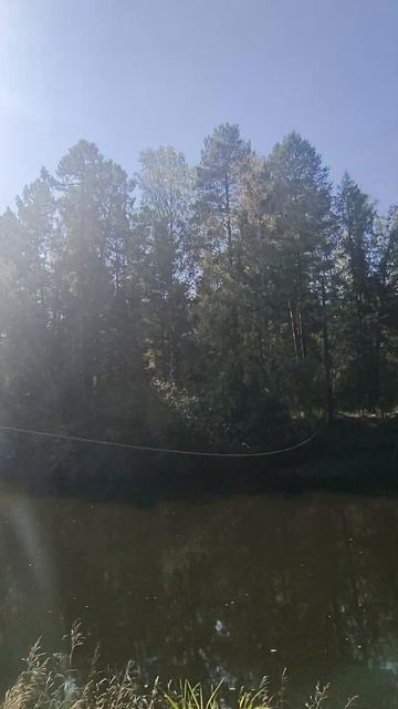 поход на гору Медведь-камень, Нижний Тагил, это мост ? #гора #медведькамень #тагил #природа #travel