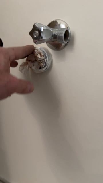 Сантехника. Вывод коммуникаций для подключения стиральной машины и сушильной машины для белья.