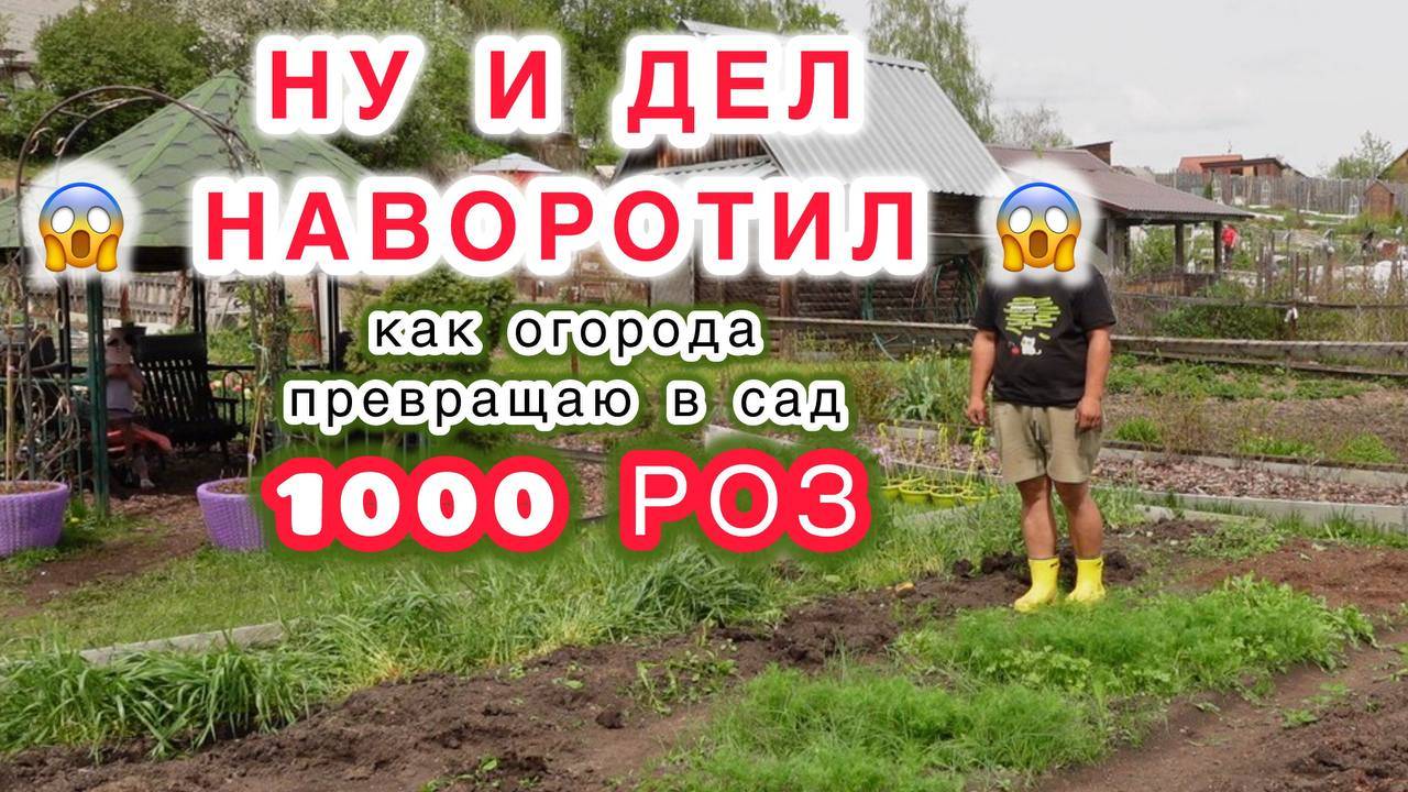 НОВЫЙ ОБРАЗ И ГРАНДИОЗНЫЕ ПЛАНЫ. Что стало, когда убрали теплицу!