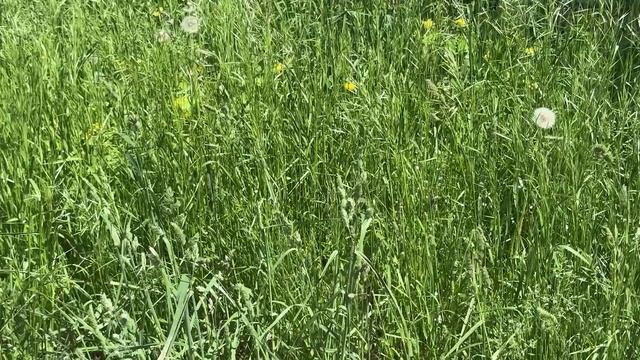 Благоустройство 27.06.2025