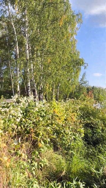 Черноисточинское #водохранилище #тагил #природа #nature #travel #отдых #красота #неморе #озеро