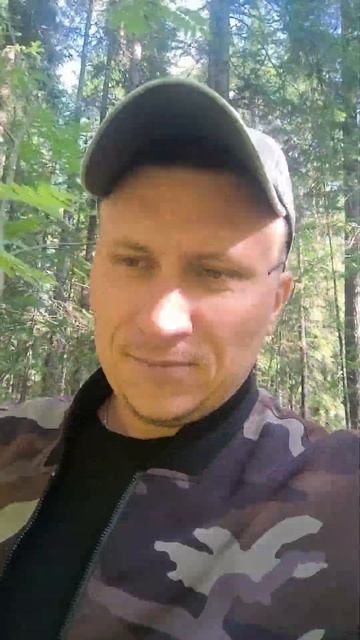 поход на гору Медведь-камень, Нижний Тагил, дорога через лес #гора #медведь #тагил #природа #travel