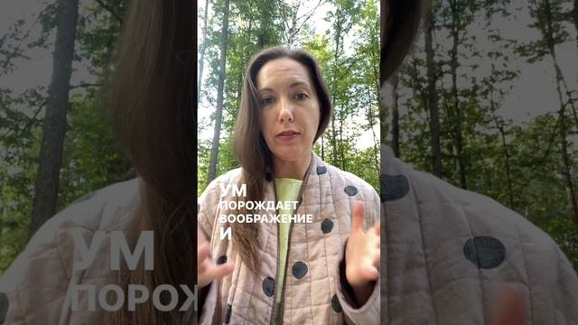 Как ум создаёт множество интриг