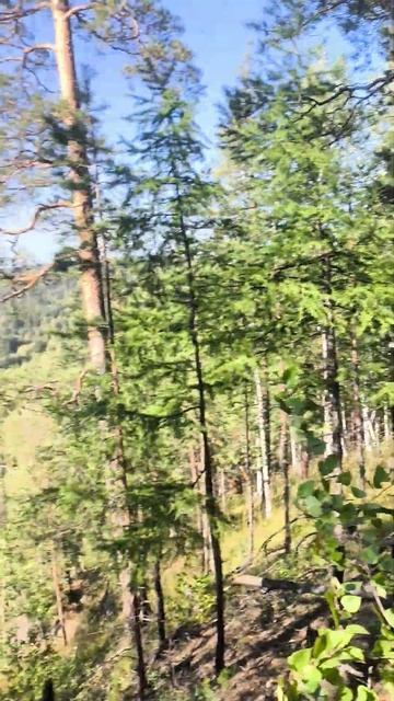 поход на гору Медведь-камень, Нижний Тагил,завершение подъёма #гора #медведь #тагил #природа #travel