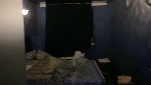 Проверили спа-салоны