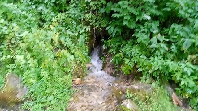 Поход Битва за Москву на Нарском рубеже