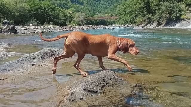 Knocking At Your Back Door - Deep Purple