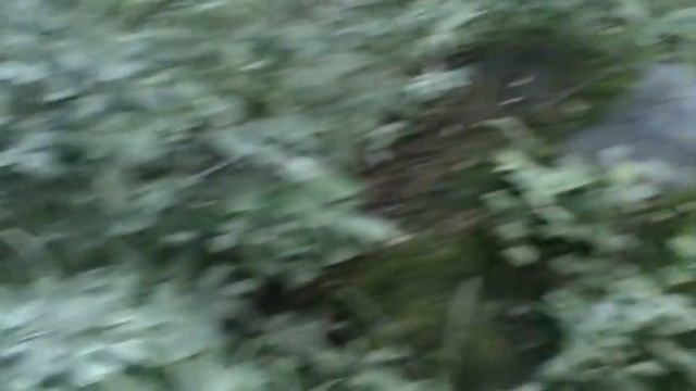 Вадим Евгеньевич рассказывает о "Чертовом городище"