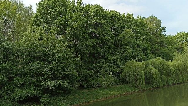 Красивый пруд в парке.