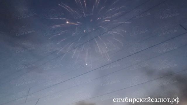 Профессиональный салют (№2432) (33)