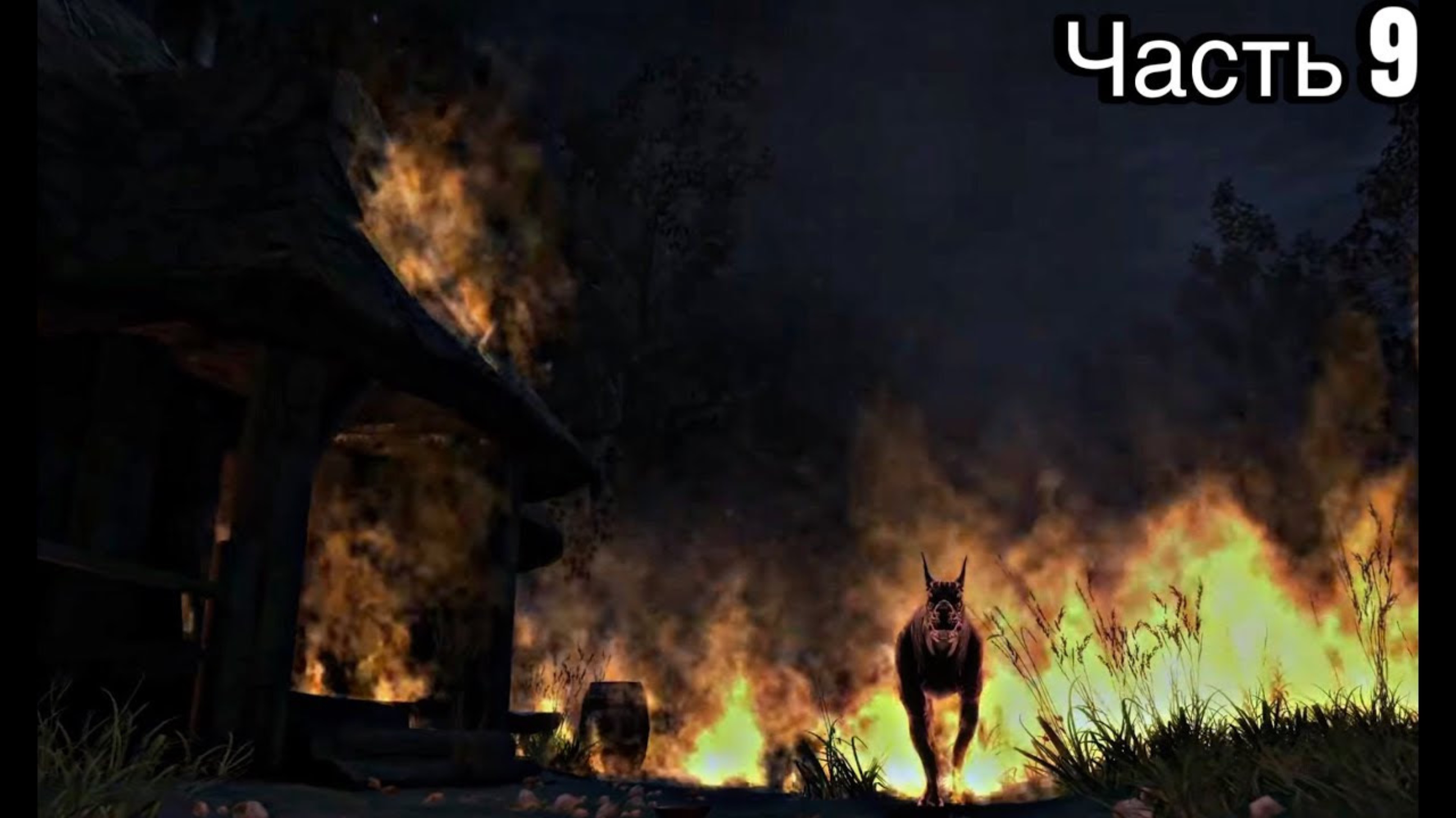 Прохождение The Witcher (Ведьмак) - Часть 9 - Зверь