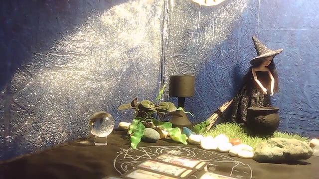 НА ВЕРНОМ ЛИ Я ПУТИ  ? Shorts