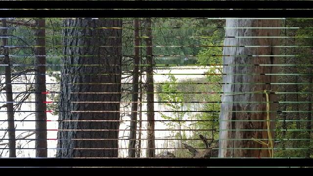 Валдай. Июнь 2022.