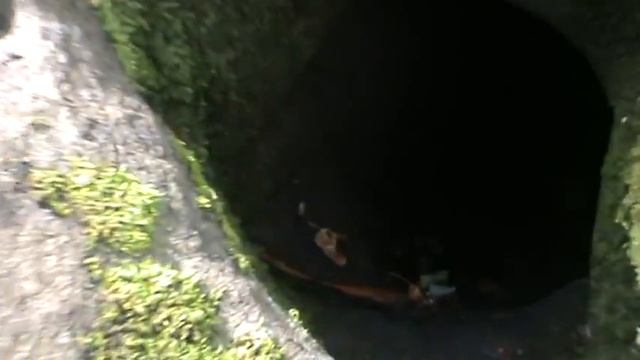 Вадим Евгеньевич рассказывает о культовом камне