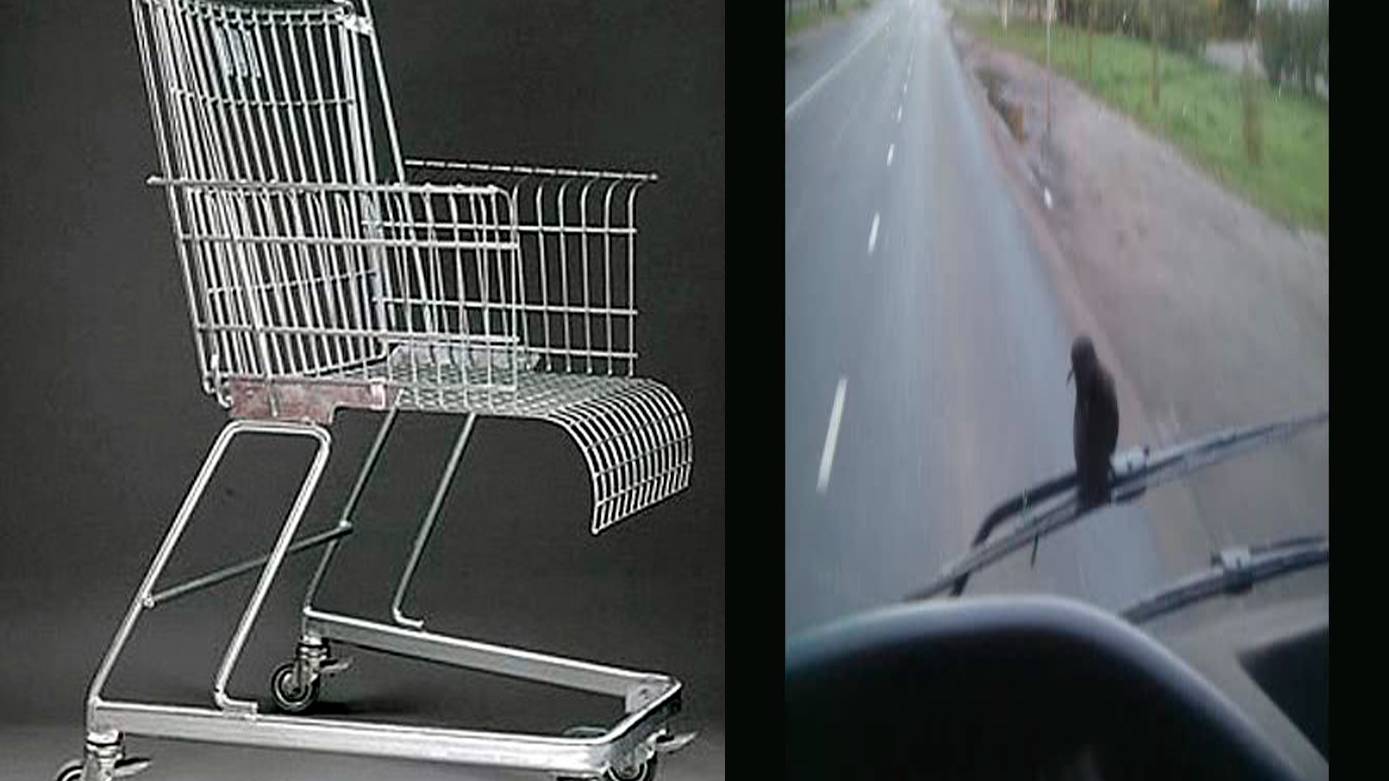 Сборник весёлых, смешных и интересных фото с интернета (10 часть)