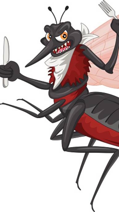 Китаец собрал ПВО против комаров — лазерную установку, которая уничтожает кровопийц прямо в воздухе