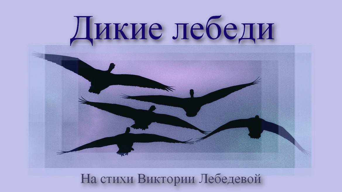 Дикие лебеди (Песня)
