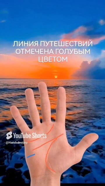 Линии путешествий