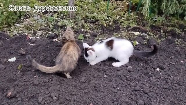 У нас всё хорошо 27.06.25.