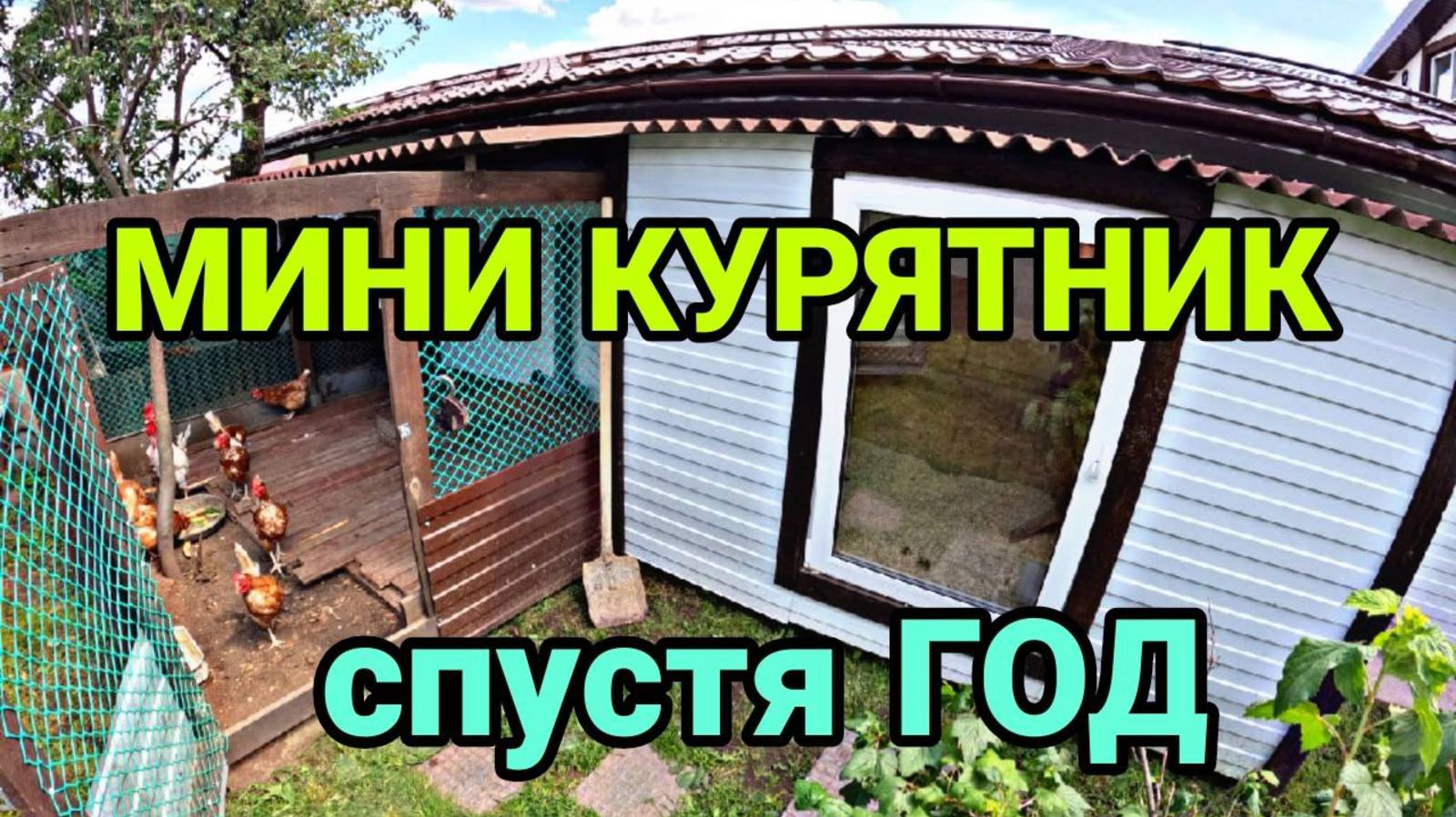 Мини курятник своими руками год спустя.
