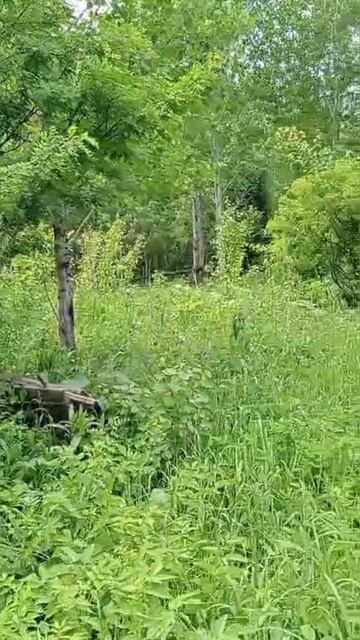 Что-то нашли.