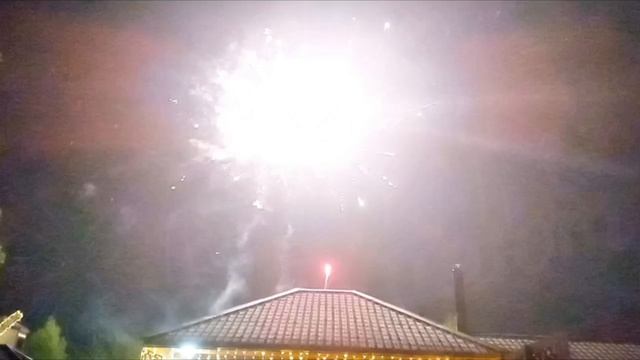 Бюджетный салют (№2515)