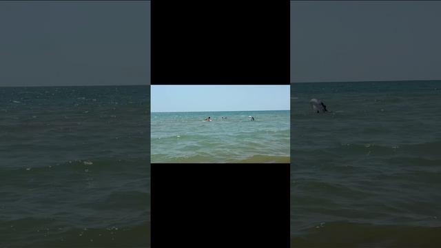 Благовещенская 28 июня 2025 г