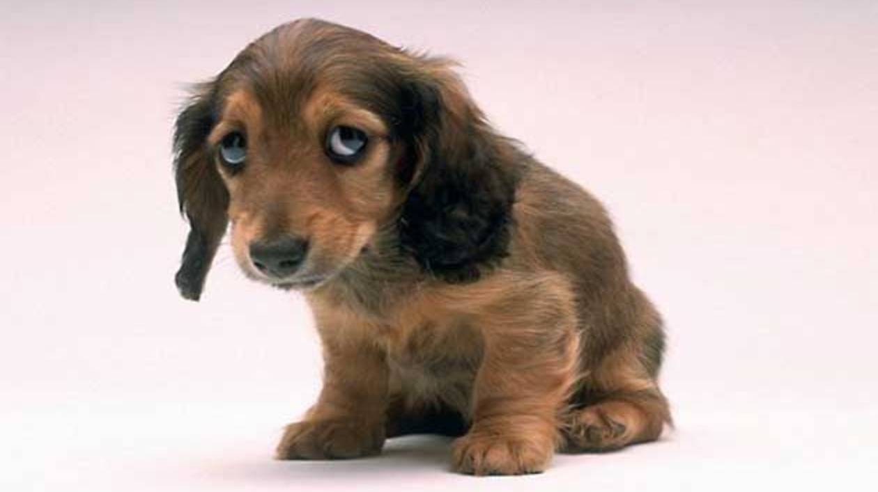 Доверие❤️💔