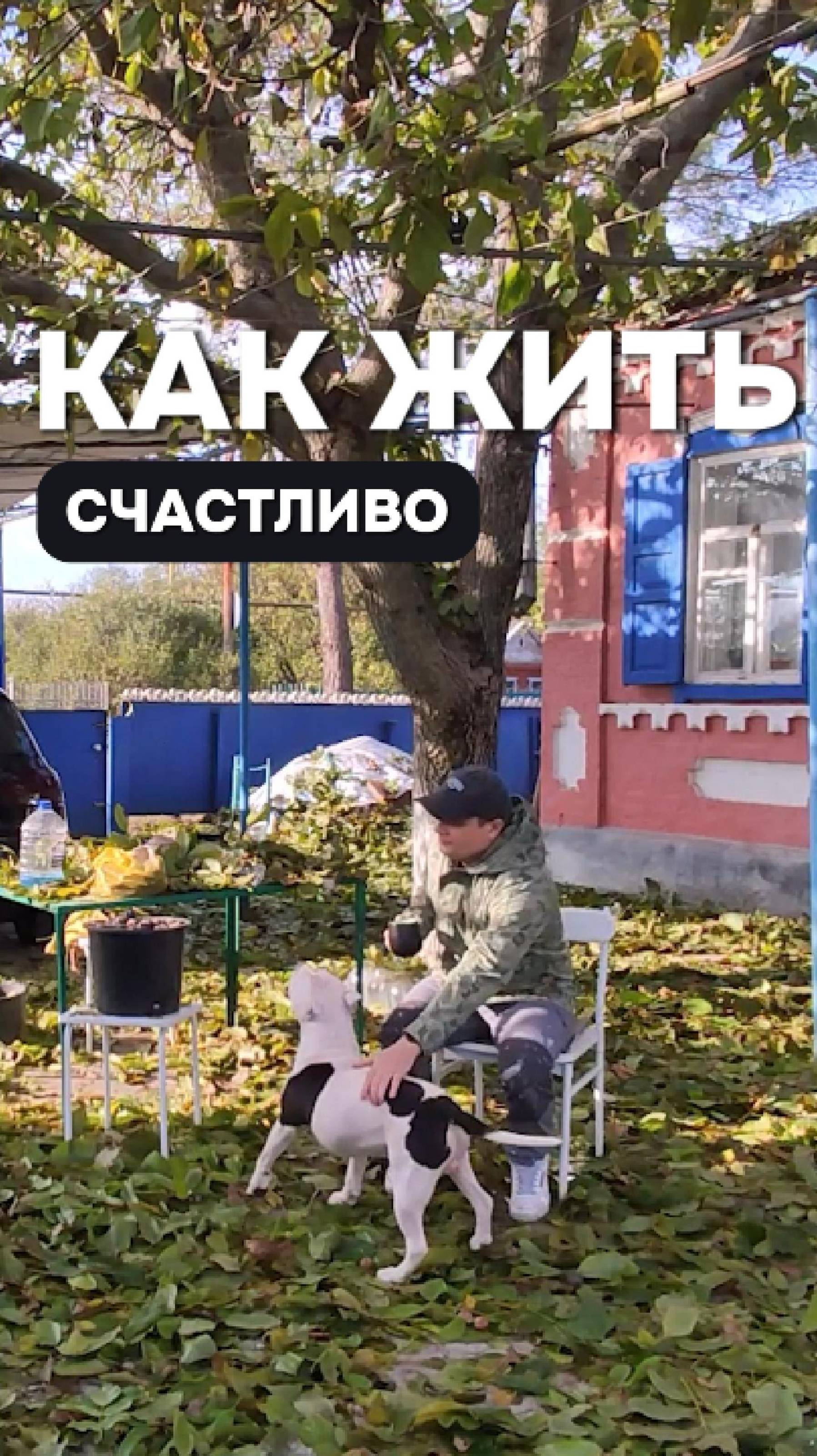 Как жить счастливо. Простые советы от мудрого человека. #Мотивация, #мудрость, #motivation