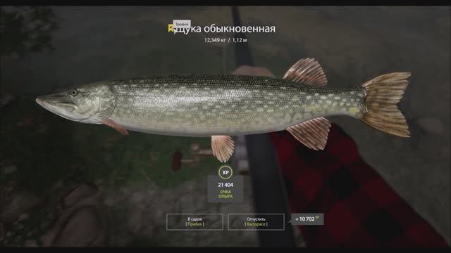 Трофейная щука, озеро Куори, игра Русская рыбалка 4, на что ловить, места клева