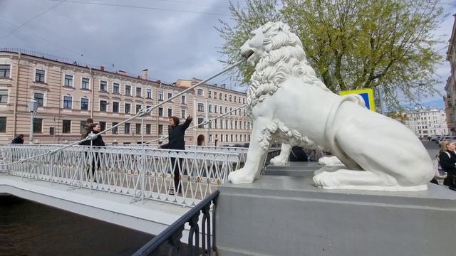 ШОК!! Мужик прыгает с Львиного моста на канале Грибоедова в Санкт Петербурге #БелыеНочи, #Петербург