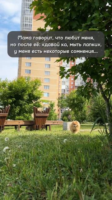 Стоит ли Булочке сомневаться?