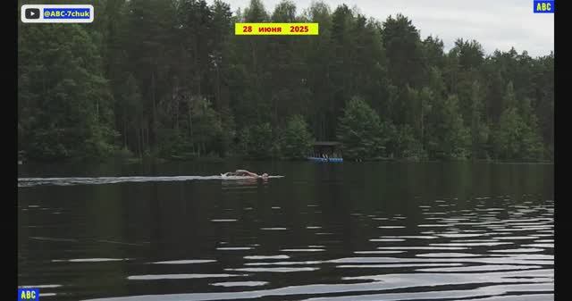 Обычный субботний заплыв 28.06.2025 #юныйпрадедбодрыйдед #бодрыйдедза60лет