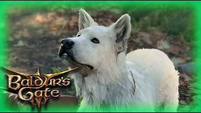 ◉Baldurs Gate 3 Прохождение➤ Новый друг ➤ Часть: 3