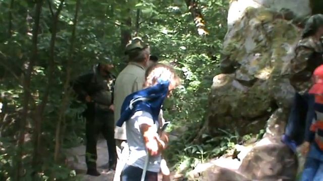 Вадим Евгеньевич рассказывает о светящемся мхе и реликтовом папортнике