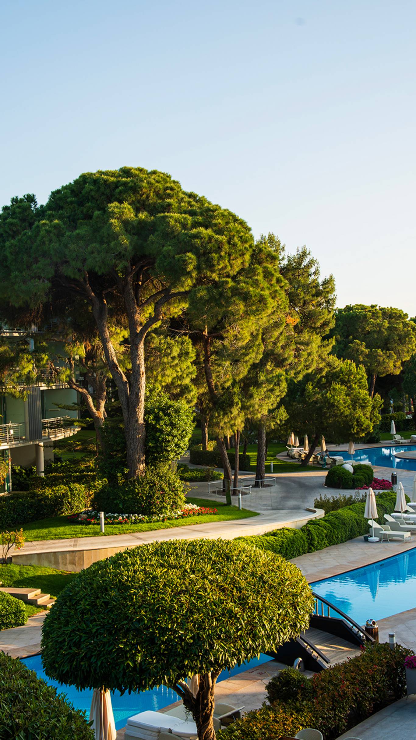 🌴 Лето, море и Calista — лучшее время для отдыха.