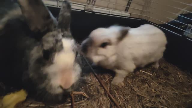 Что ПРОИСХОДИТ🔥❓ДРАКА