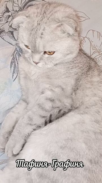 😻Это свобода.....❤️