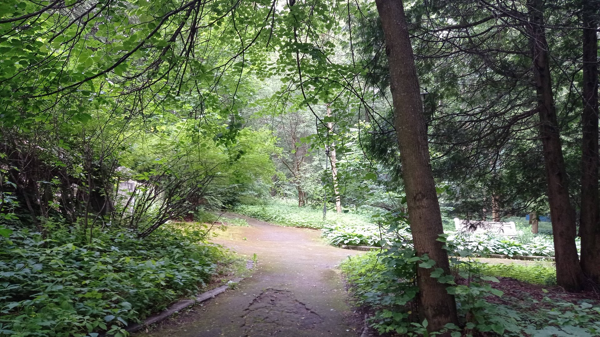 В города-3: Москва| Николай Артемьев