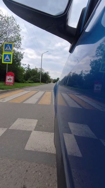 Синий Лада Ларгус Largus вид от колеса